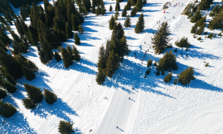 Geneva Ski Transfers to Alpine Resorts | Alpine Fleet - Rated 4.6/5